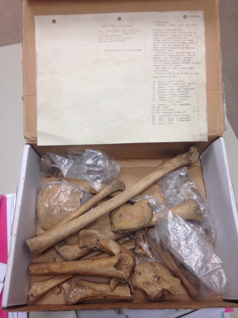 The skeletons in Waldorf’s closet | The Lobbyist